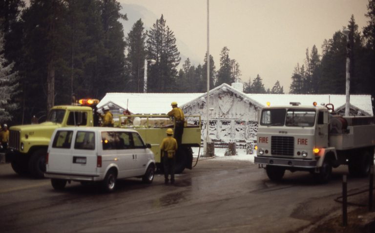 The ’88 Fires: 30 Years Later - Yellowstone Forever