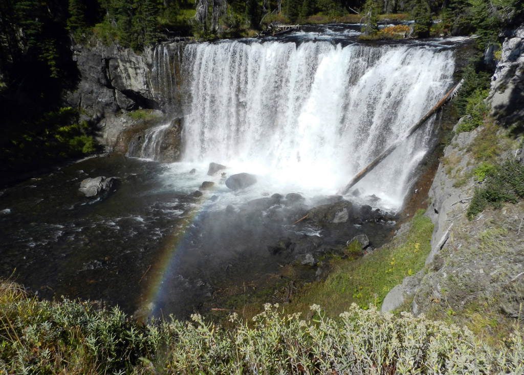 Yellowstone’s Bechler Region Changes - Yellowstone Forever