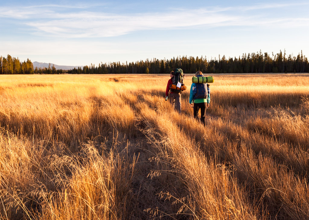 Yellowstone’s Bechler Region Changes - Yellowstone Forever