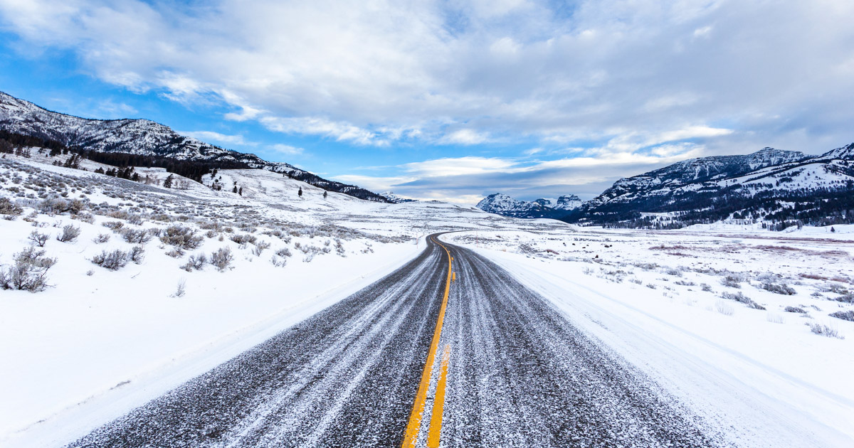 Explore Yellowstone's Northern Range This Winter - Yellowstone Forever