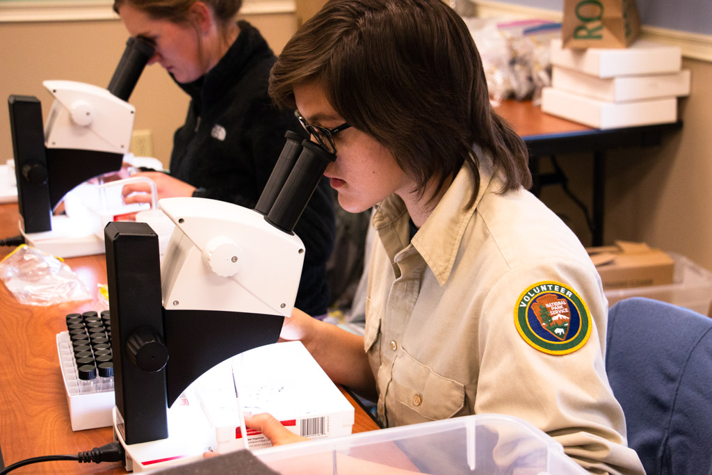 Citizen Science Participants in Action - Yellowstone Forever