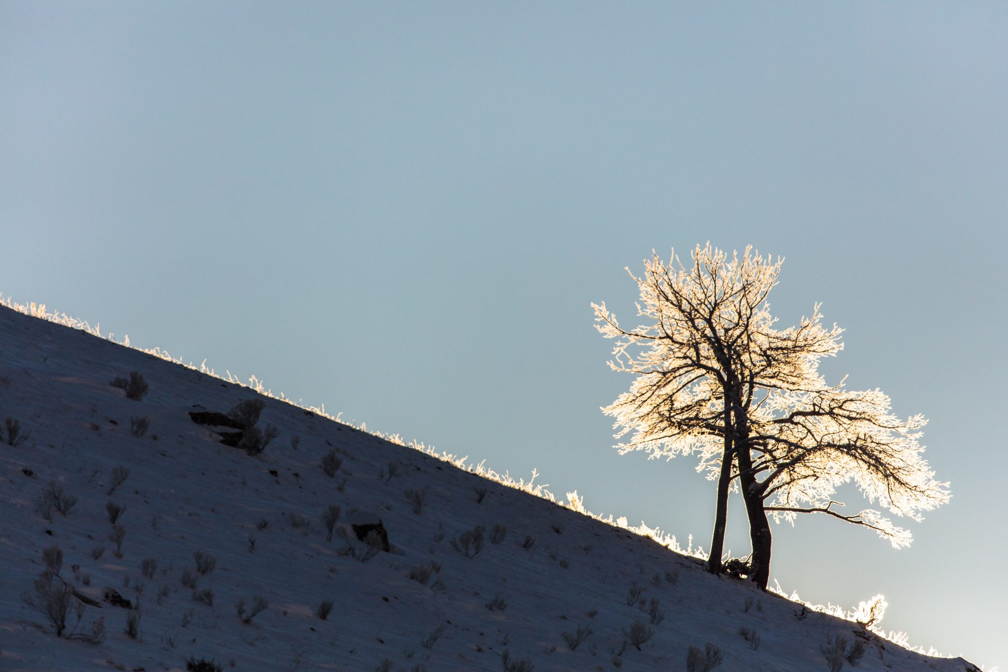Photographing Yellowstone's Fire & Ice - Yellowstone Forever