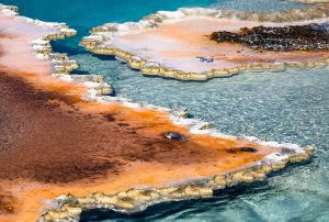 Colors of Curiosity: Yellowstone’s Microbes - Yellowstone Forever