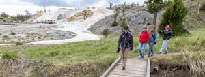 Yellowstone Hiking 101 - Yellowstone Forever