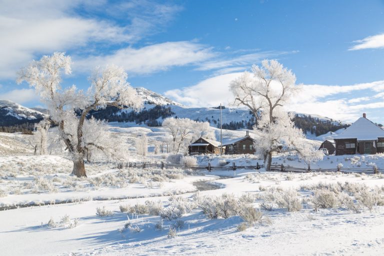 Lamar Buffalo Ranch - Yellowstone Forever