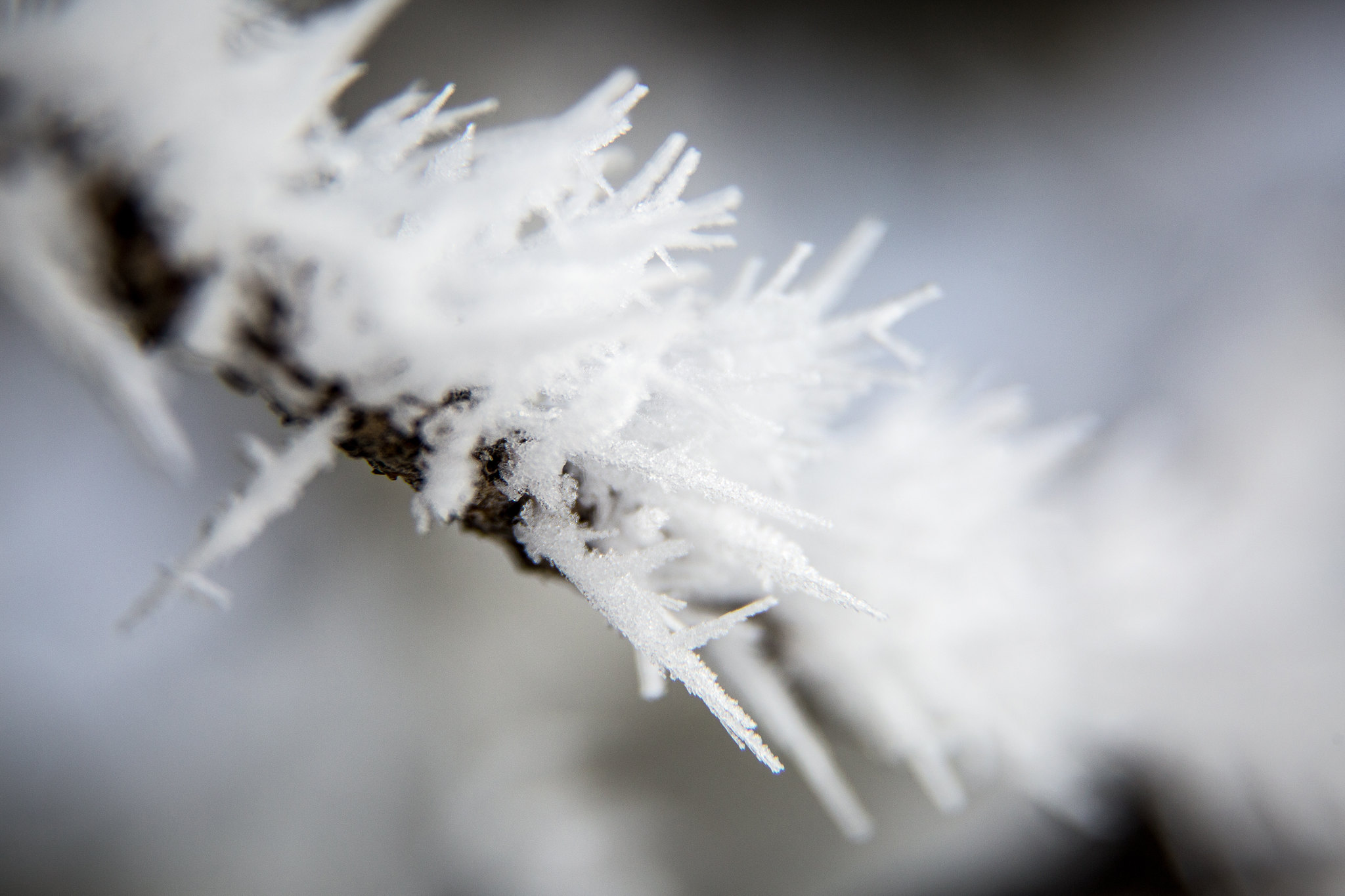 Rime Ice - Yellowstone Forever