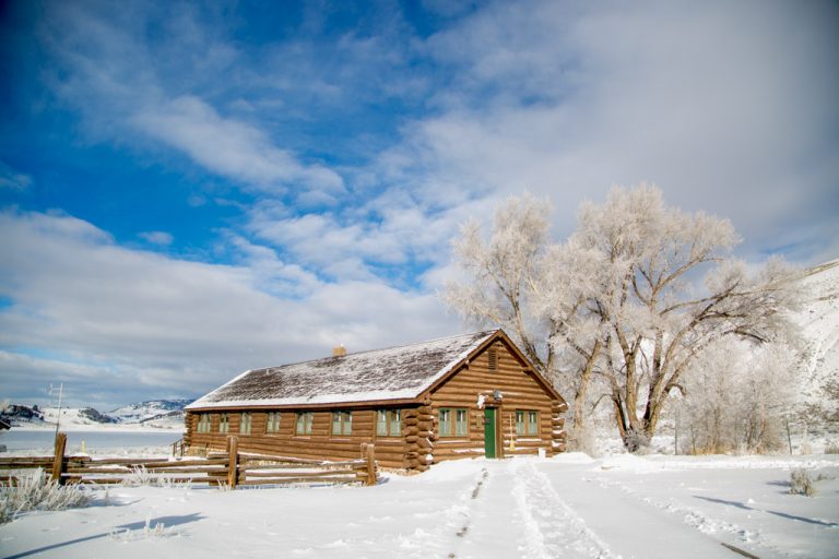 Lamar Buffalo Ranch - Yellowstone Forever