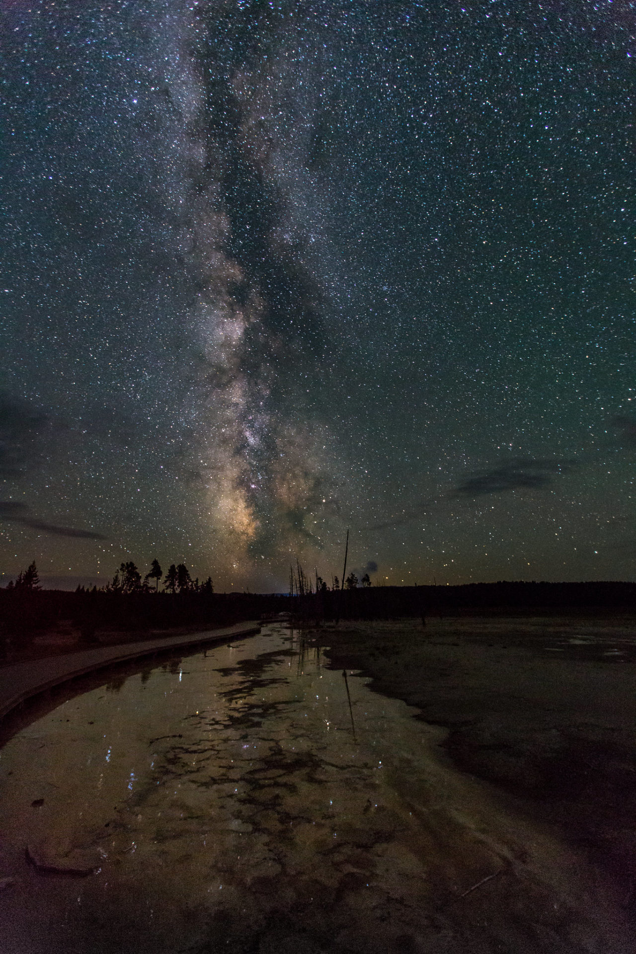 Keeping Yellowstone Here, Forever - Yellowstone Forever
