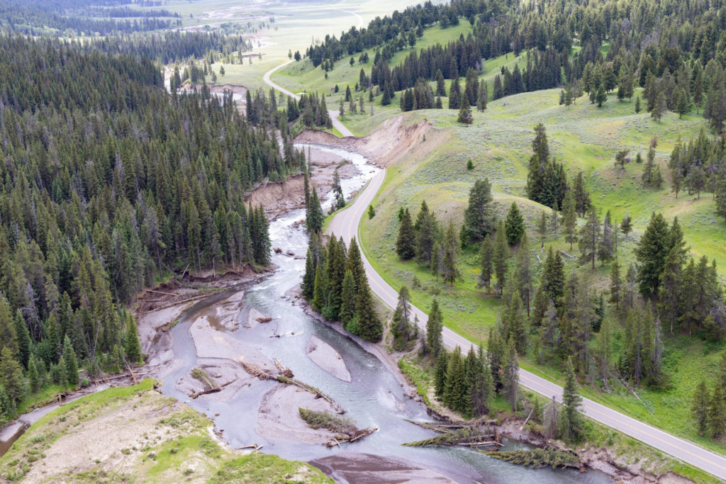 Inside Yellowstone Archives - Yellowstone Forever