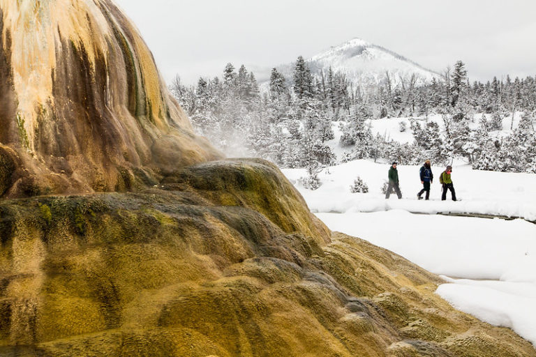 Plan Your Winter Trip to Yellowstone - Yellowstone Forever