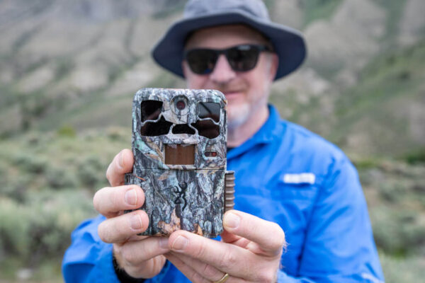 Yellowstone Cougar Project in Focus: Interview with the fStop ...