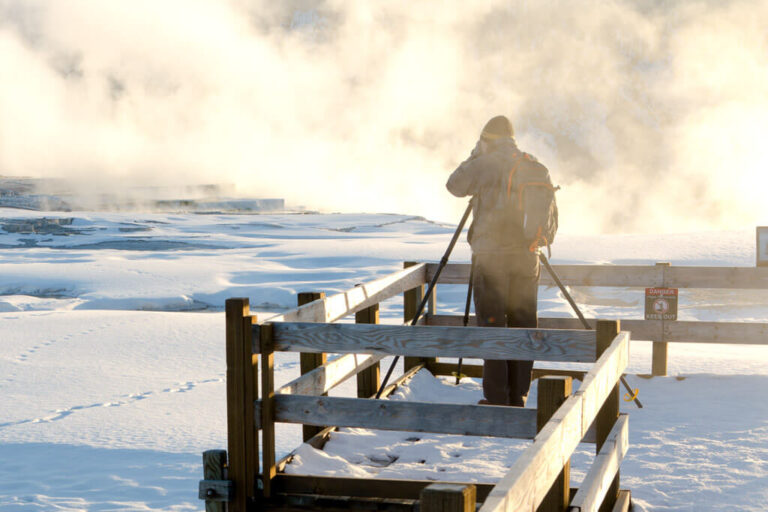 Blog - Yellowstone Forever
