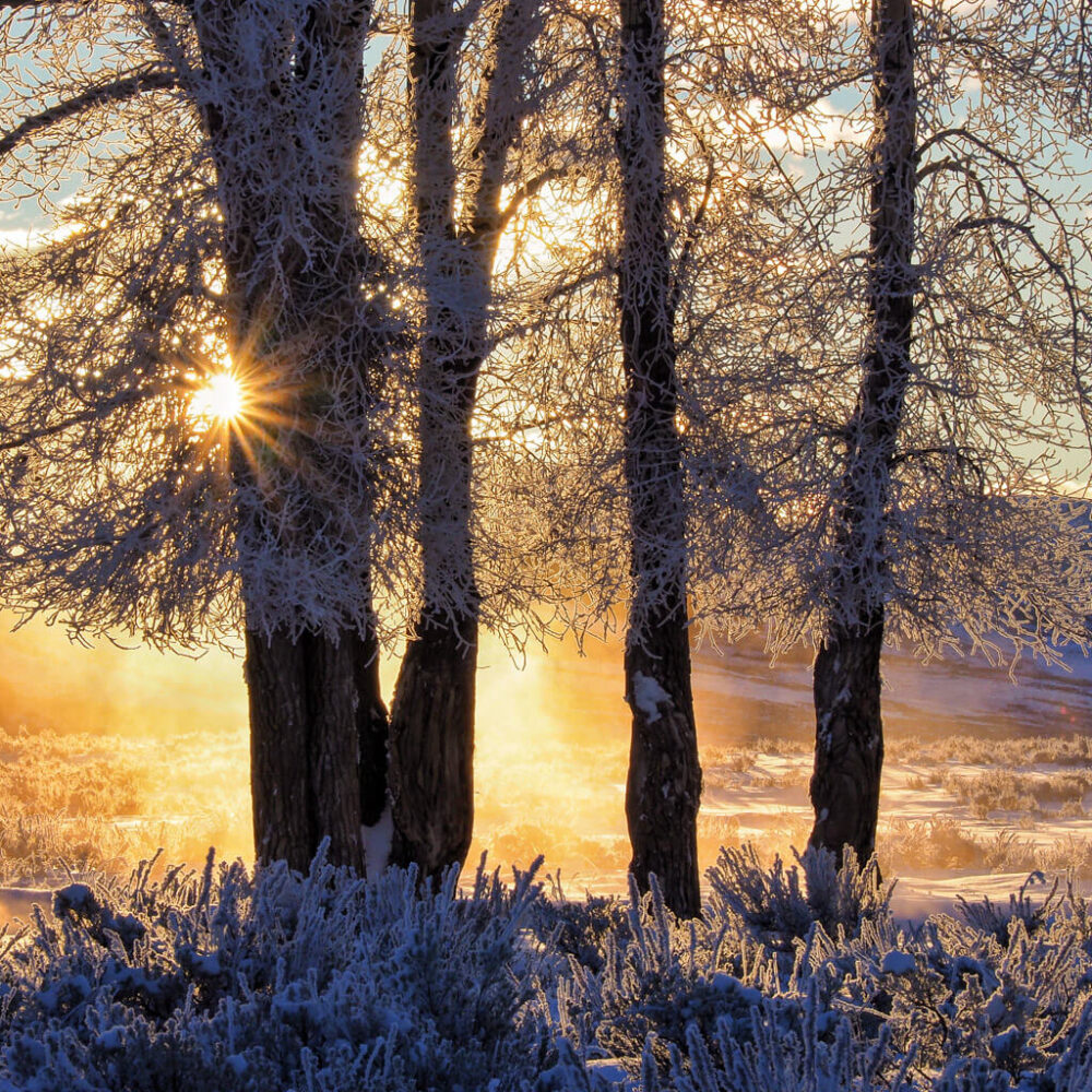 2025 Yellowstone Calendar Images Available