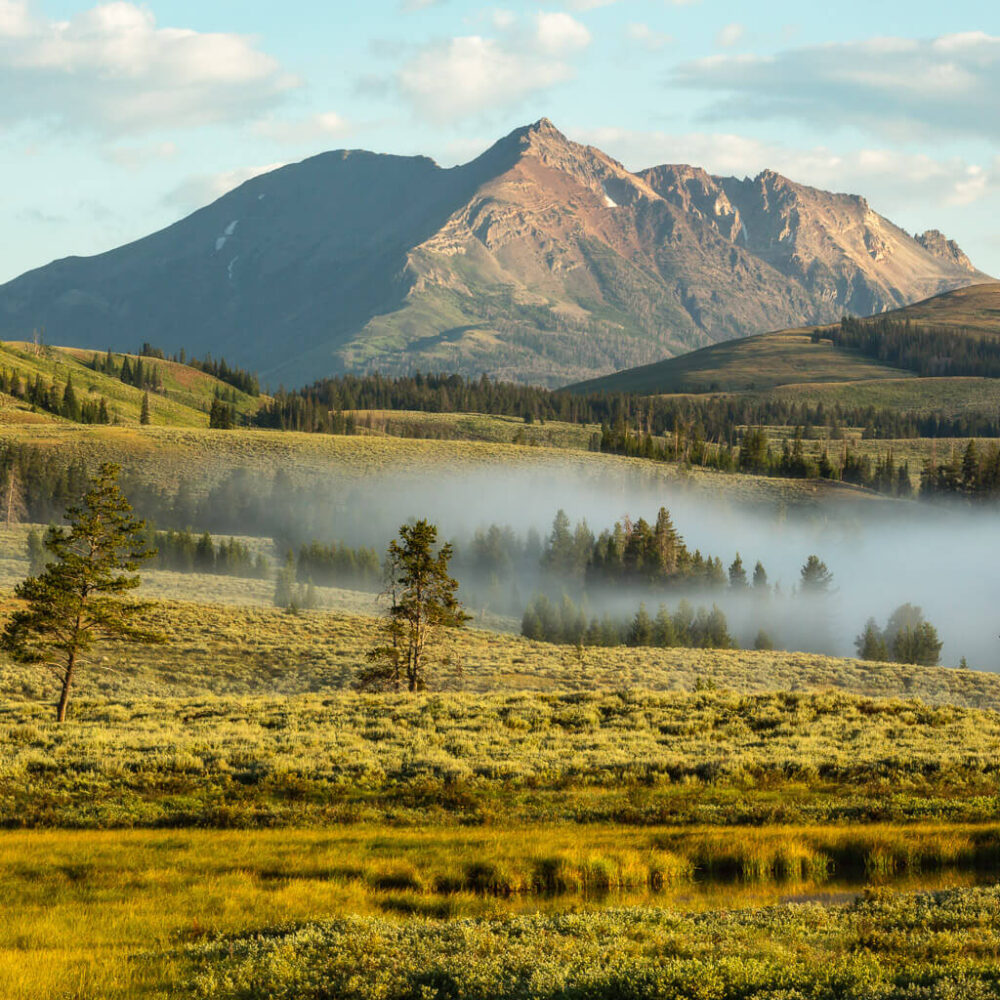 2025 Yellowstone Calendar Images Available