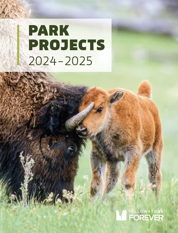 Project Support - Yellowstone Forever