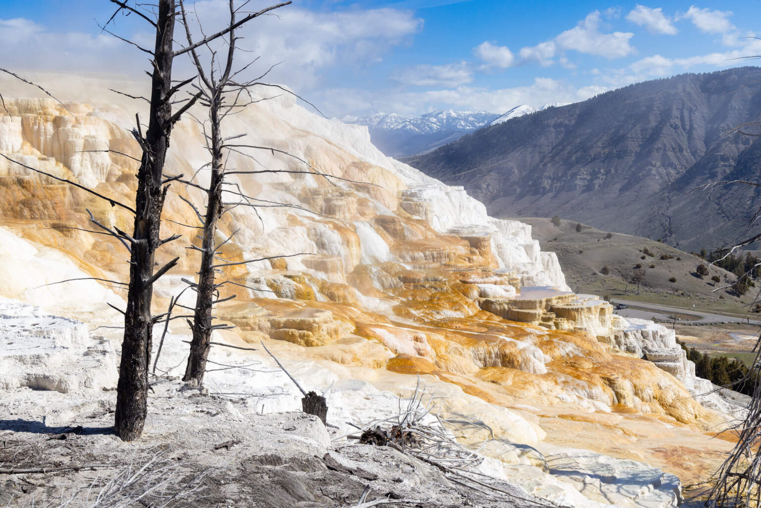 Discovering Yellowstone’s Microbes - Yellowstone Forever