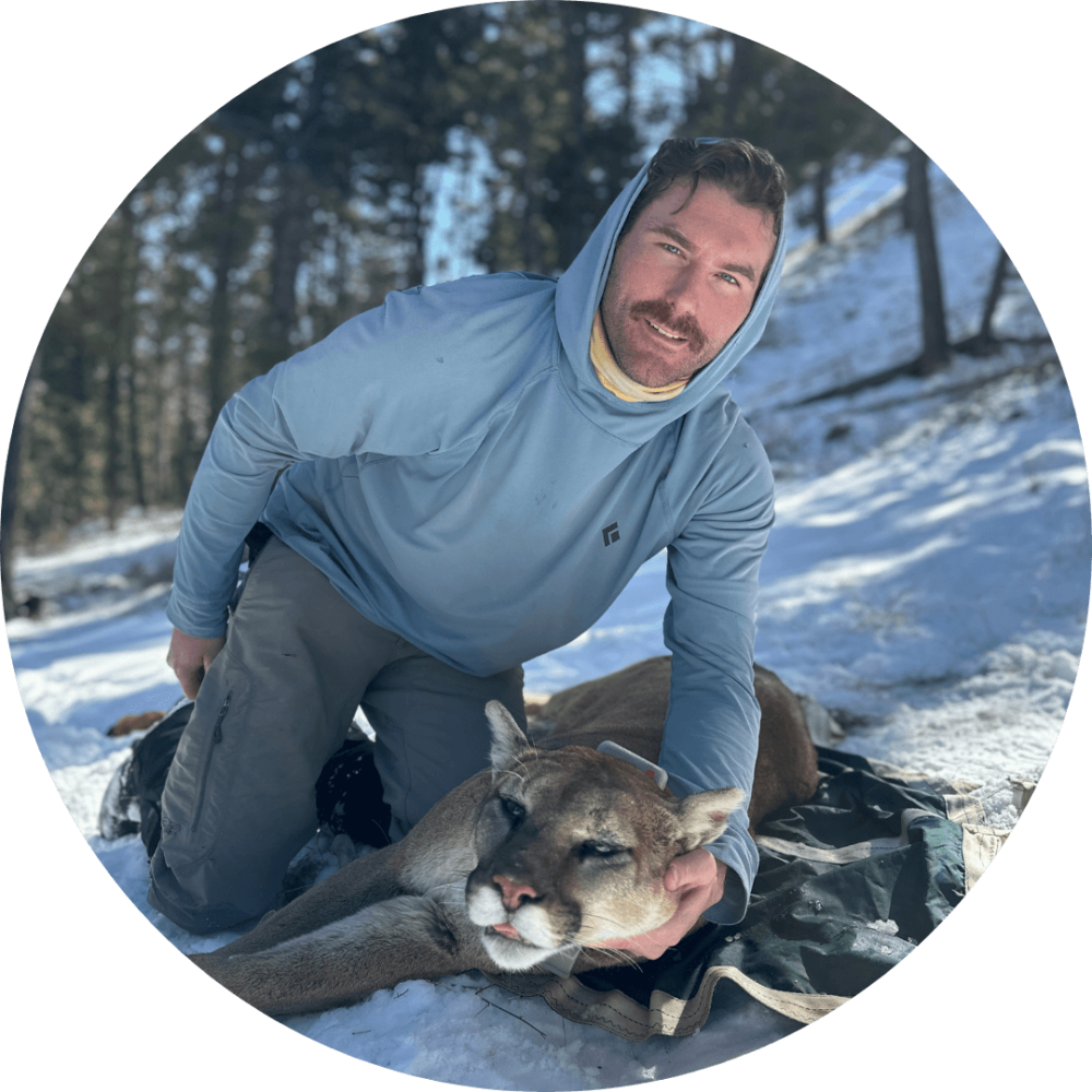 Yellowstone's Captivating Carnivores | Yellowstone Forever