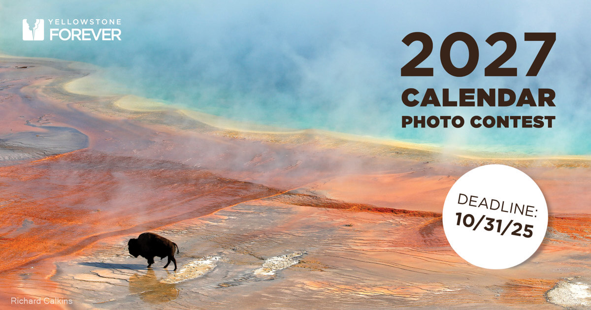 Yellowstone Forever 2027 Calendar Photo Contest