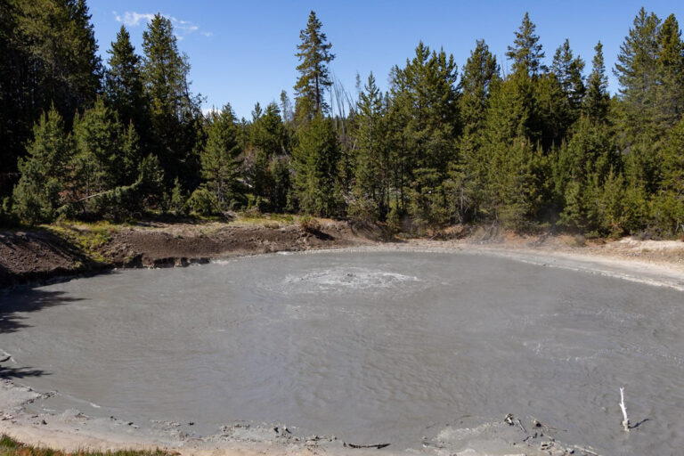 Dragons in Yellowstone